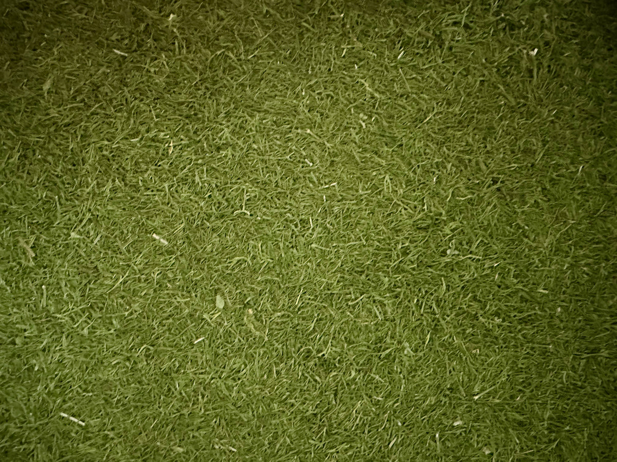 Bulk Dried Dill Weed (5 Pounds) (Shiweed) – Kalamala