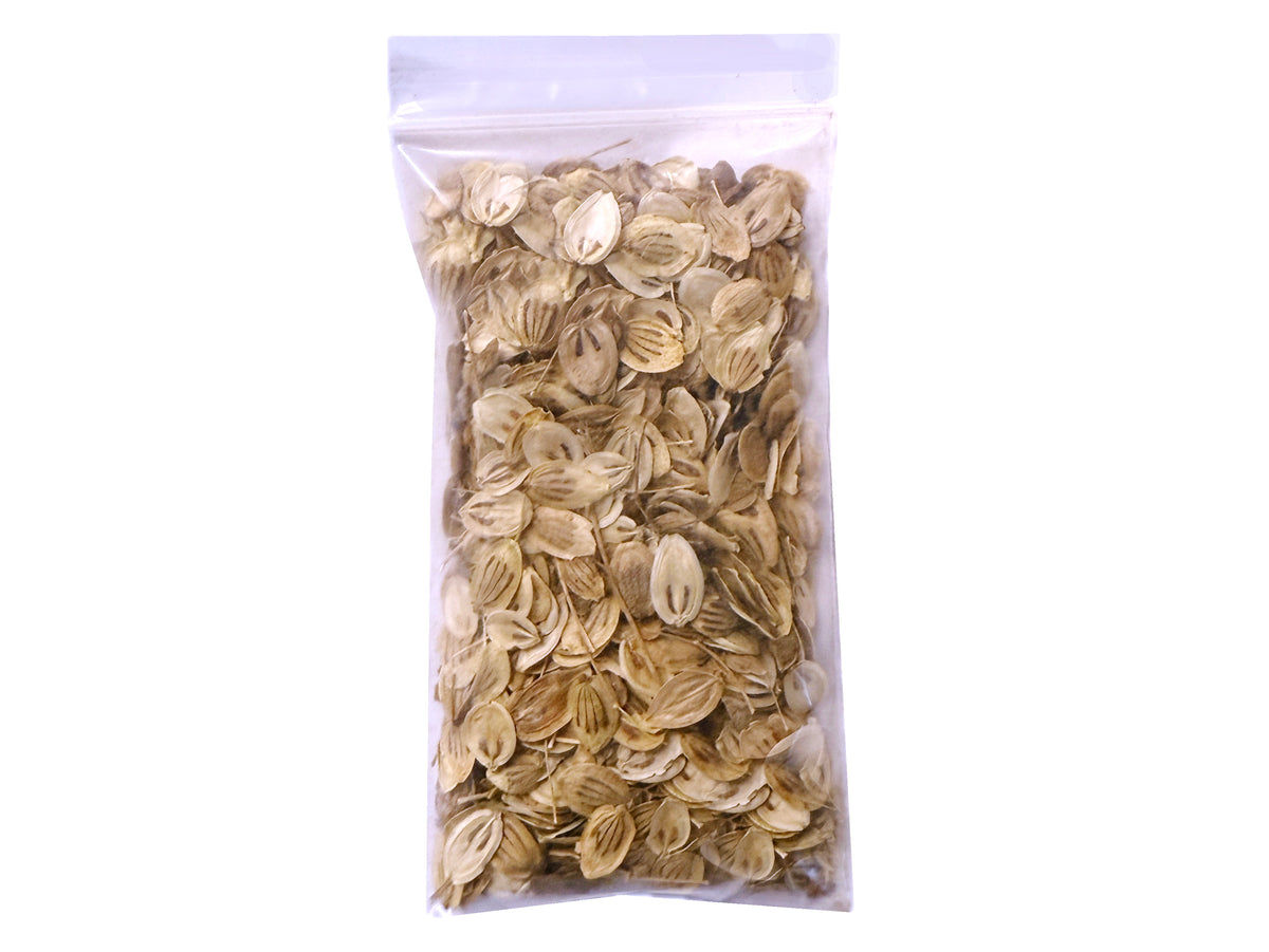 Organic Angelica (20 Grams) (Golpar) – Kalamala