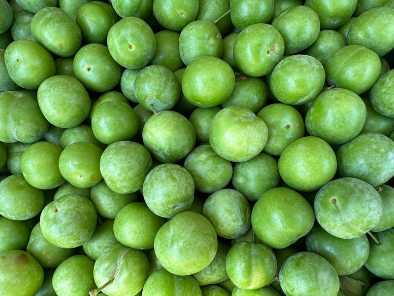 🟦 Fresh Super/Sour Plum - 2 Pounds (Gojeh Sabz) – Kalamala