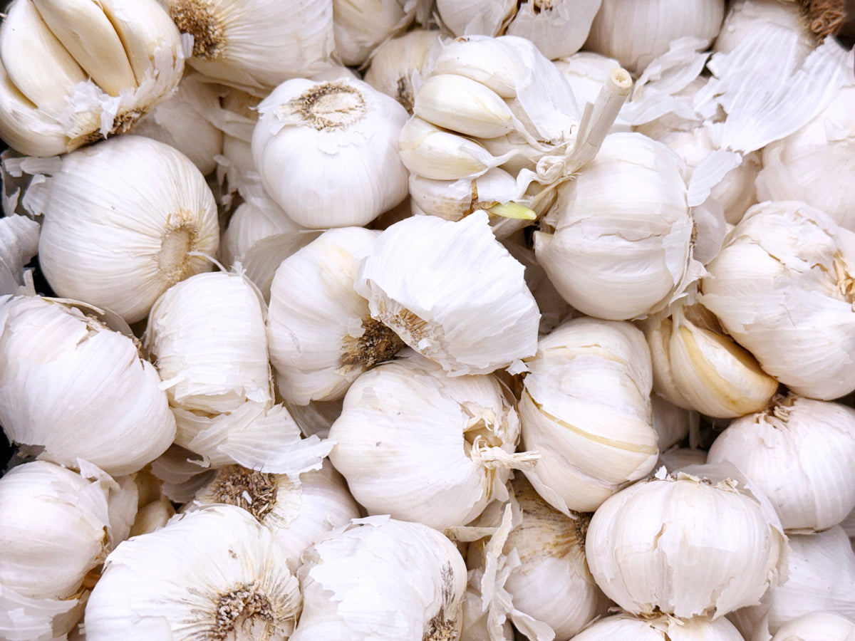 Fresh Whole Garlic(1 Pound) (Sir)(Seer) – Kalamala