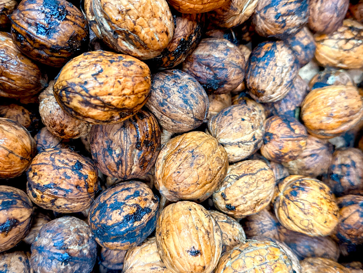 Fresh Cleaned Raw Walnut (With Shell, Just Removed Green Husk) (1 Poun ...